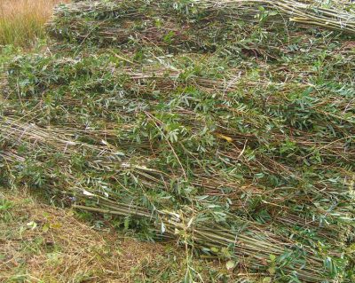 Fascines | Hydrosaat AG